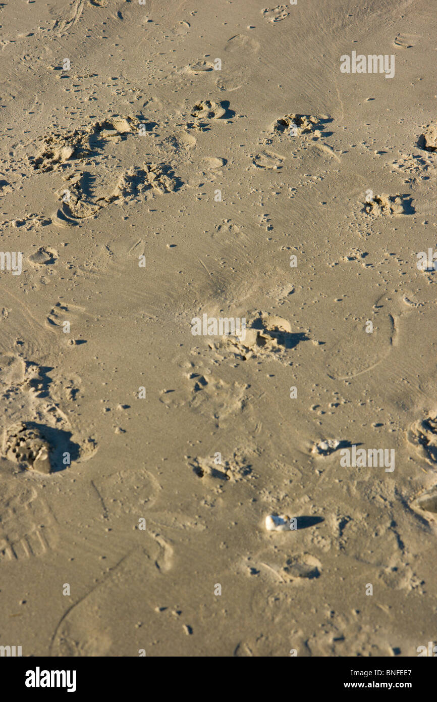 Footprints and marks in the sand Stock Photo - Alamy