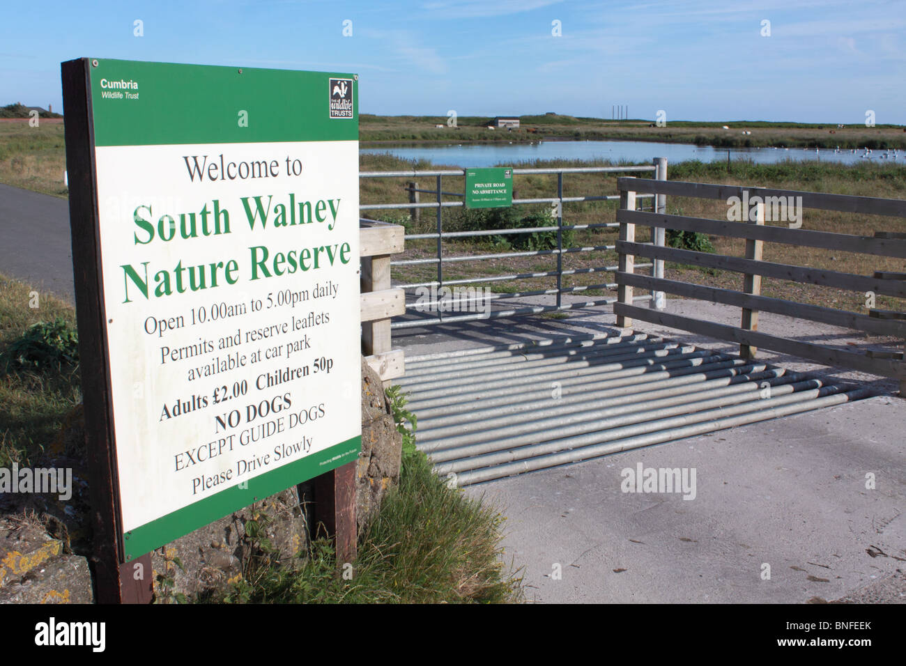 South Walney Island nature reserve, near Barrow-in-Furness, Cumbria ...