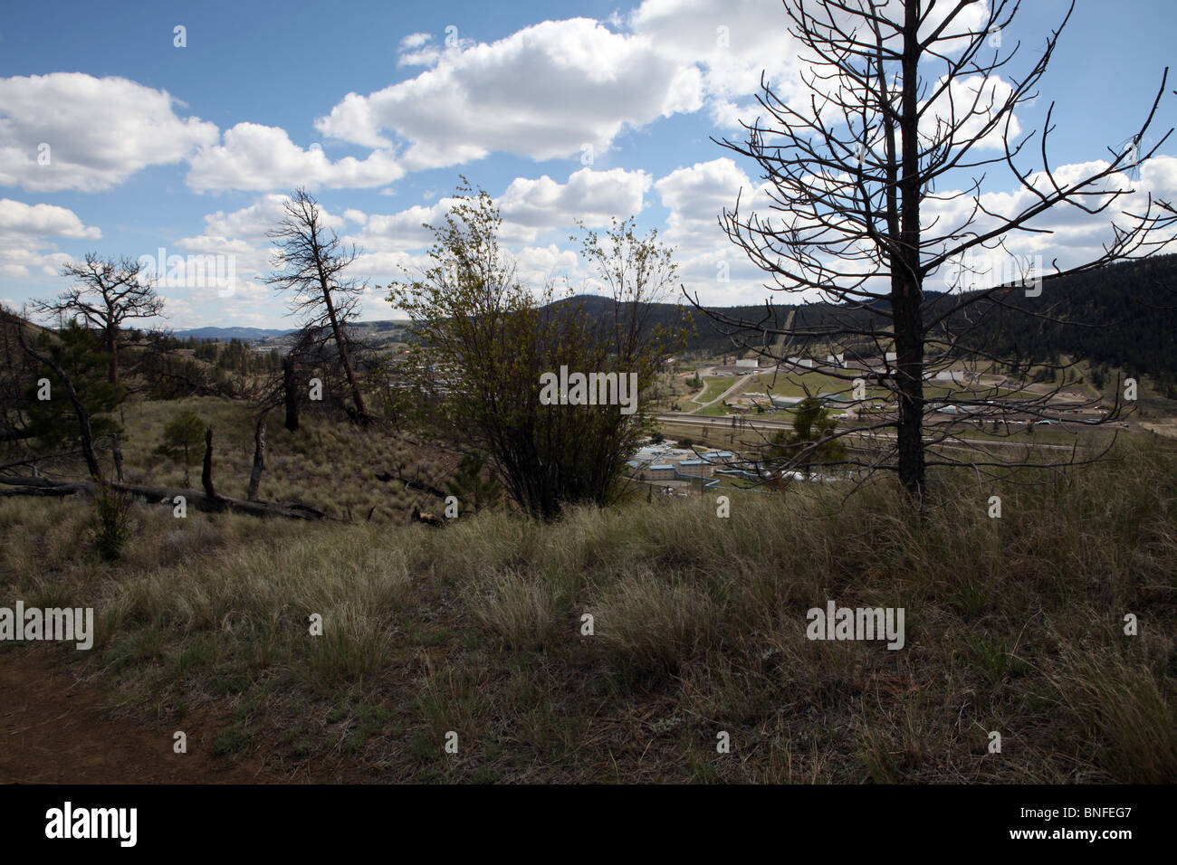 Kenna cartwright hi-res stock photography and images - Alamy