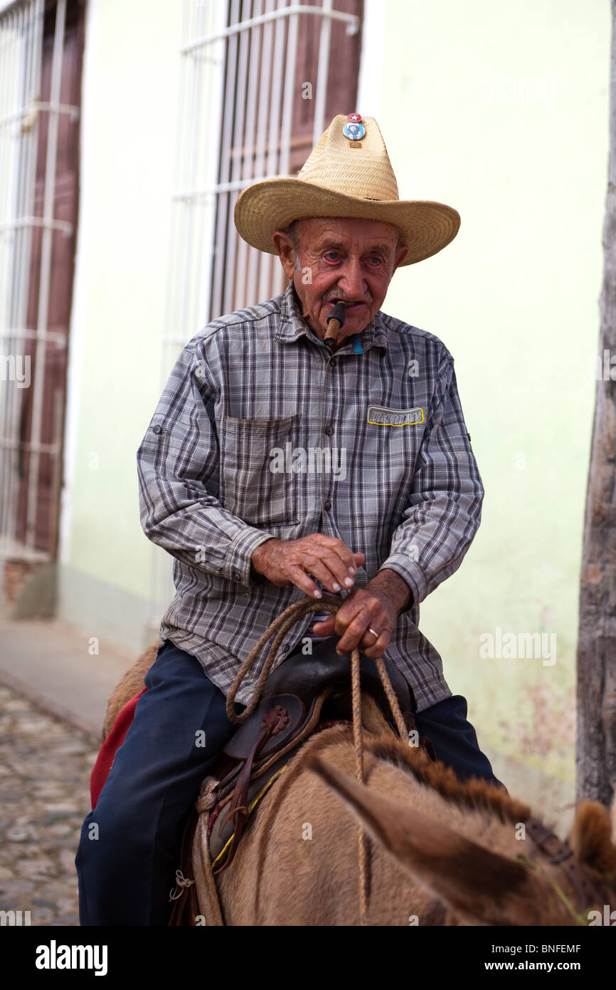 Riding mule hi-res stock photography and images - Alamy
