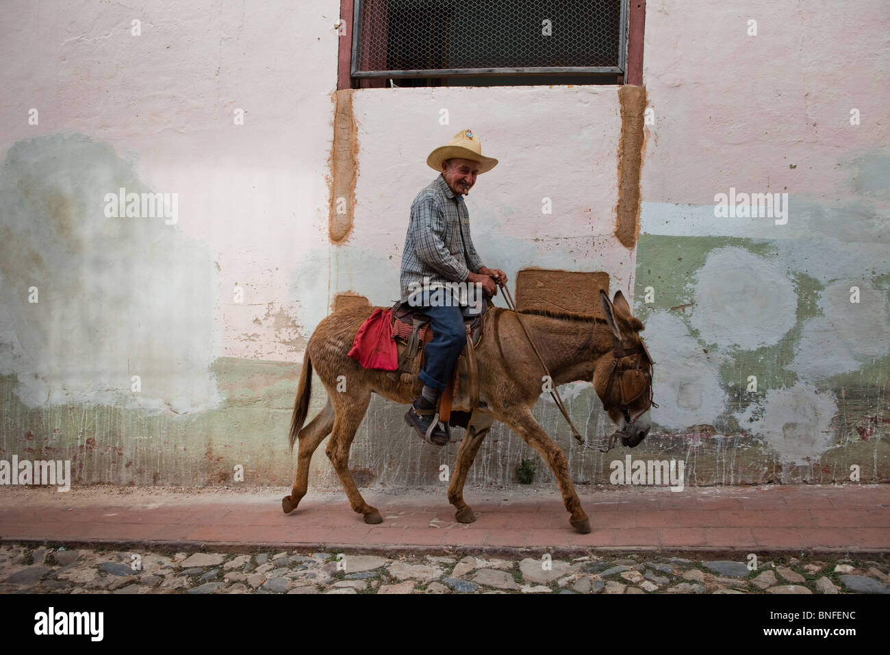 Riding mule hi-res stock photography and images - Alamy