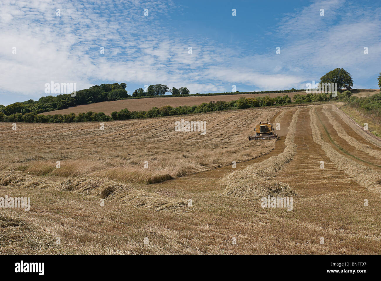 Farming cutting the hay Stock Photo - Alamy