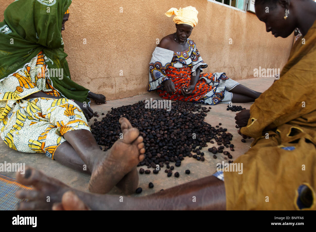 Shea nut hi-res stock photography and images - Alamy