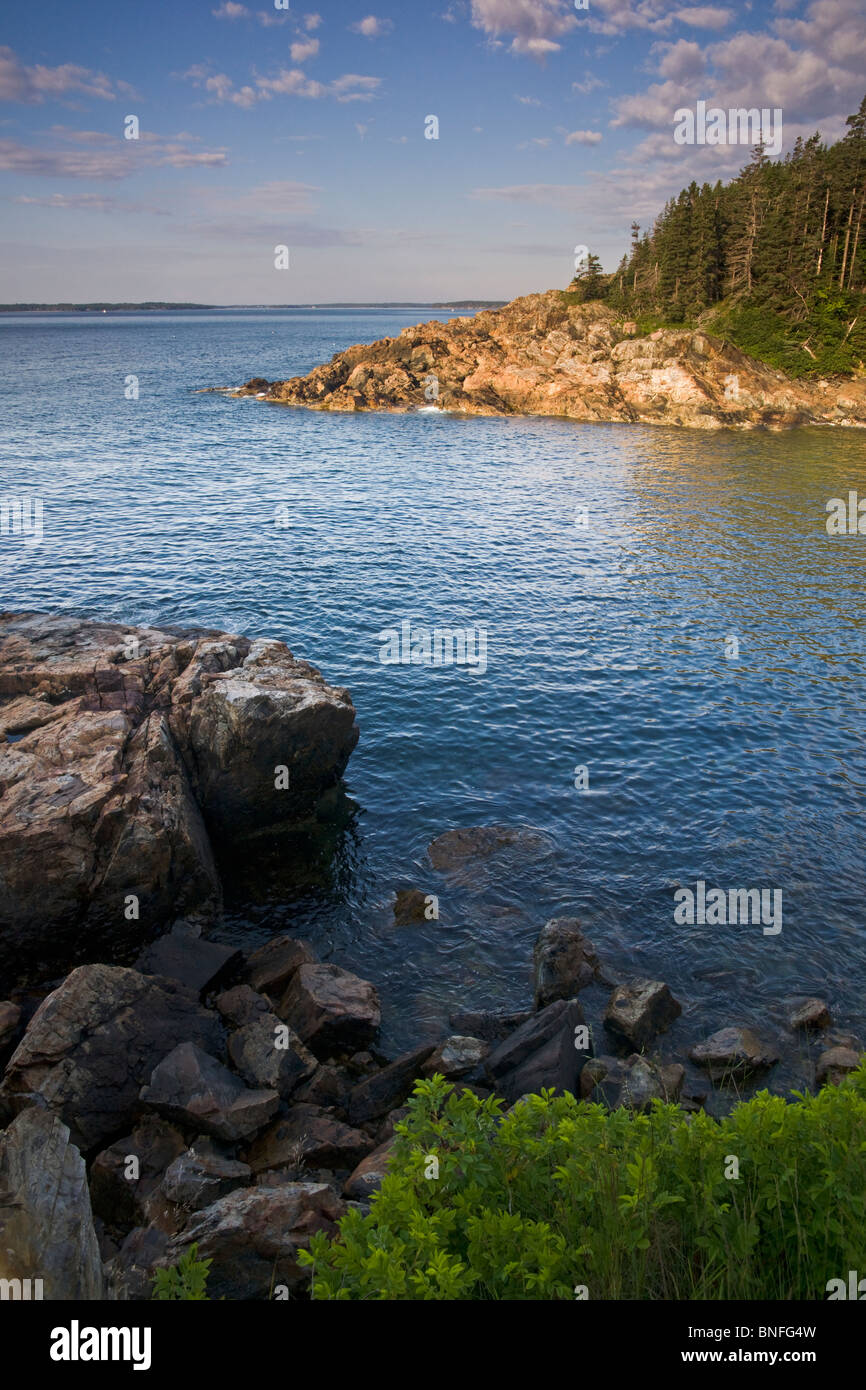 Head Hunters Stock Photos & Head Hunters Stock Images - Alamy