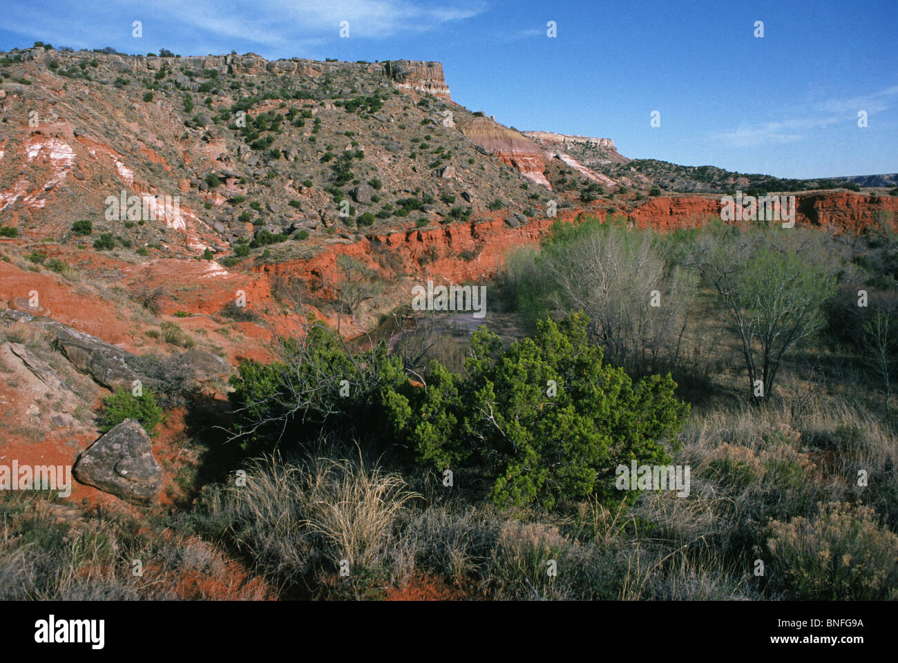 The rocky cliffs of Palo Duro Canyon in the Texas Panahandle Stock ...