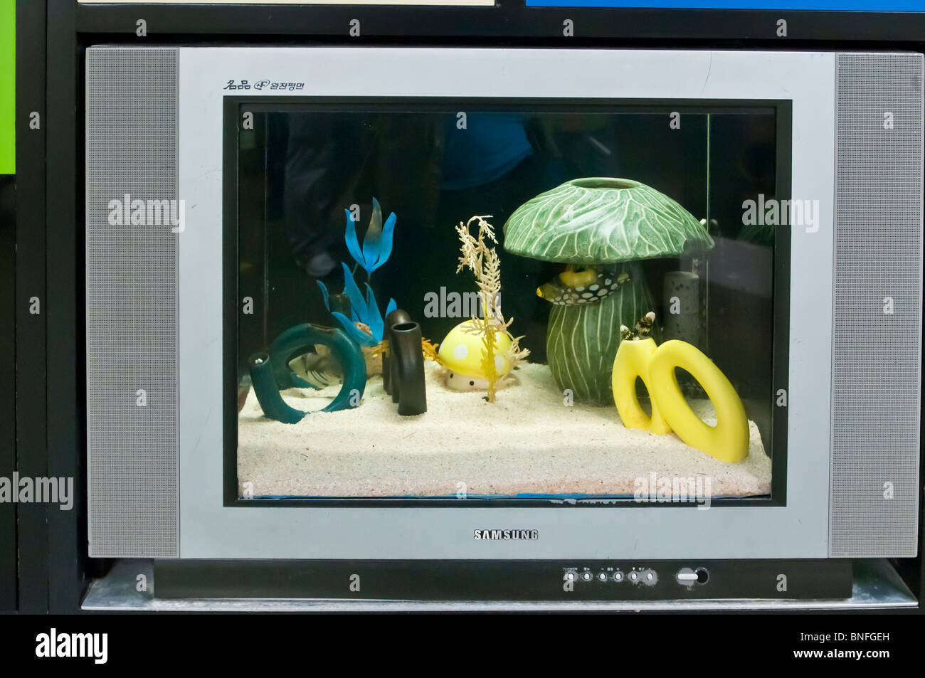 Fish inside a television set, COEX Aquarium, Seoul, South Korea Stock ...