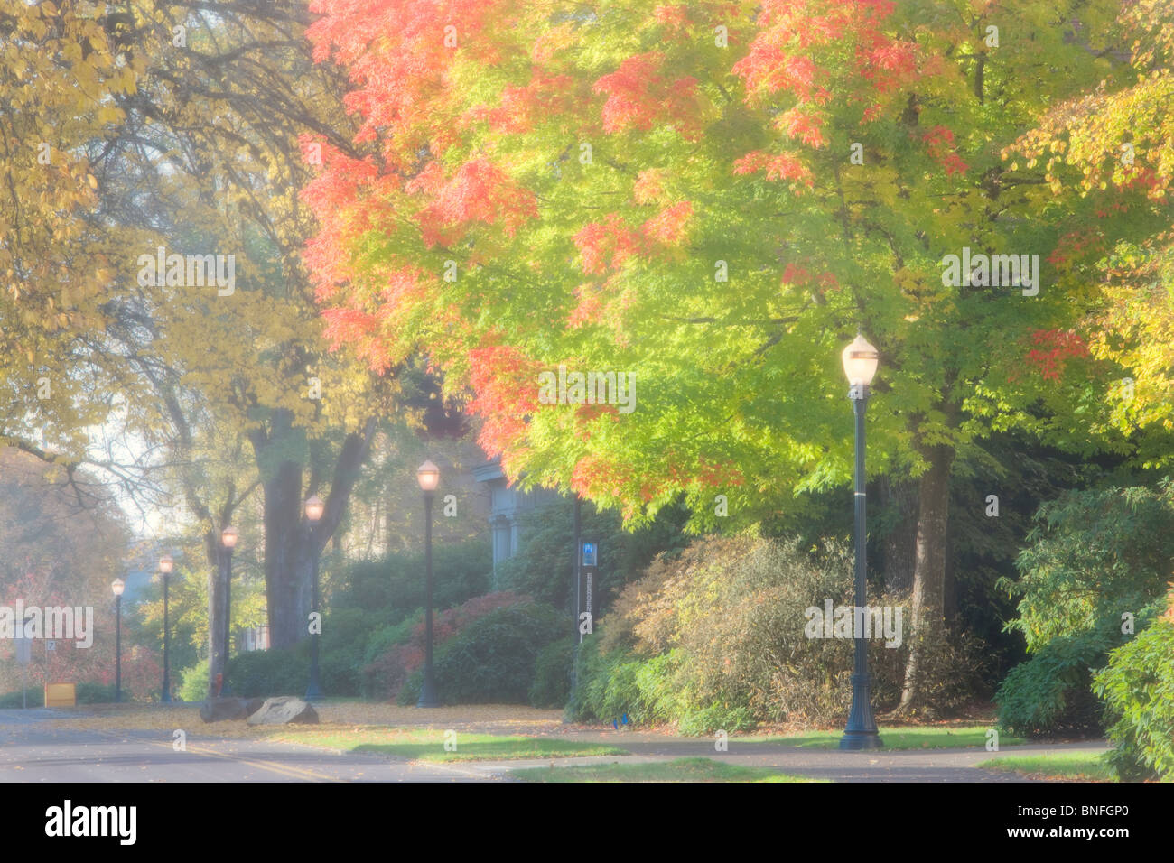 University of oregon campus hi-res stock photography and images - Alamy