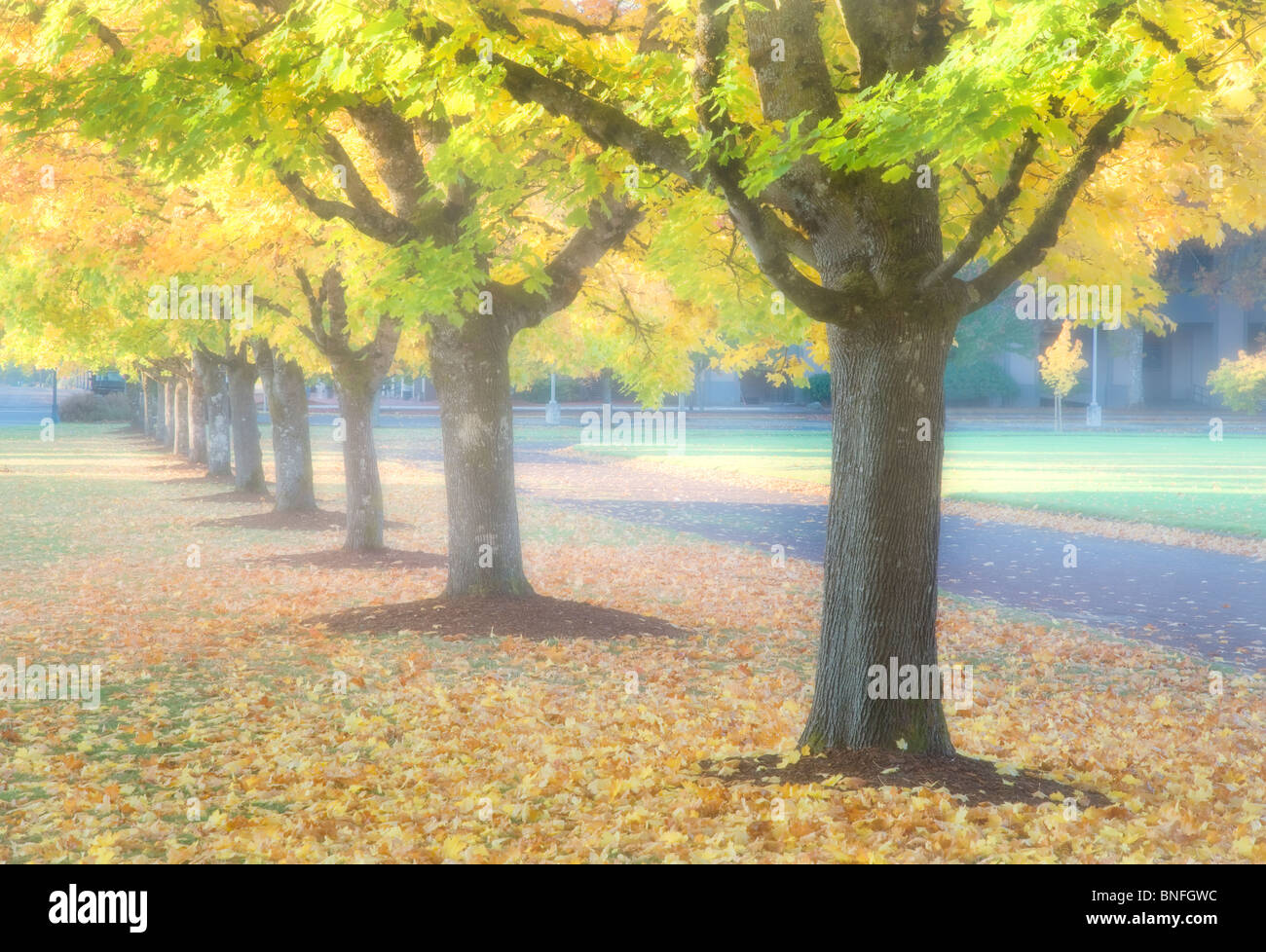 University of oregon campus hi-res stock photography and images - Alamy