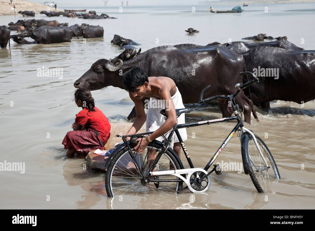 Man cleaning his bicycle. Ganges river. Varanasi. India Stock Photo - Alamy