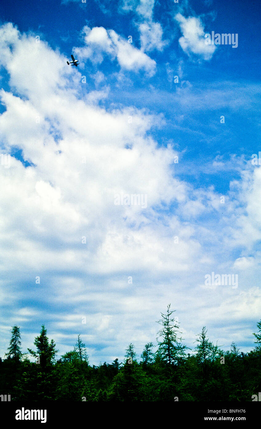 cloudy skies forest tree line horizon Stock Photo - Alamy
