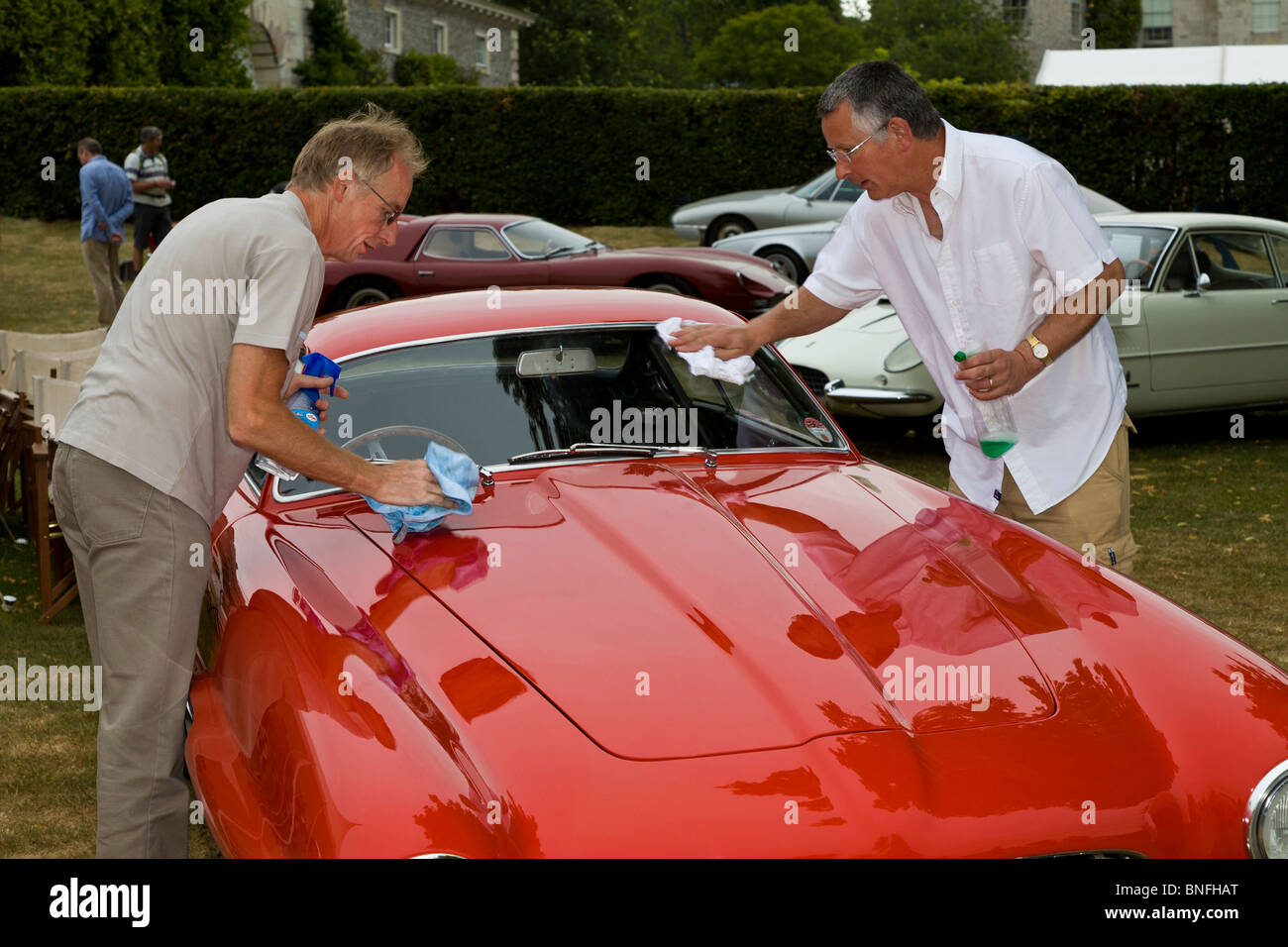 Willment cobra coupe 1965 hi-res stock photography and images - Alamy