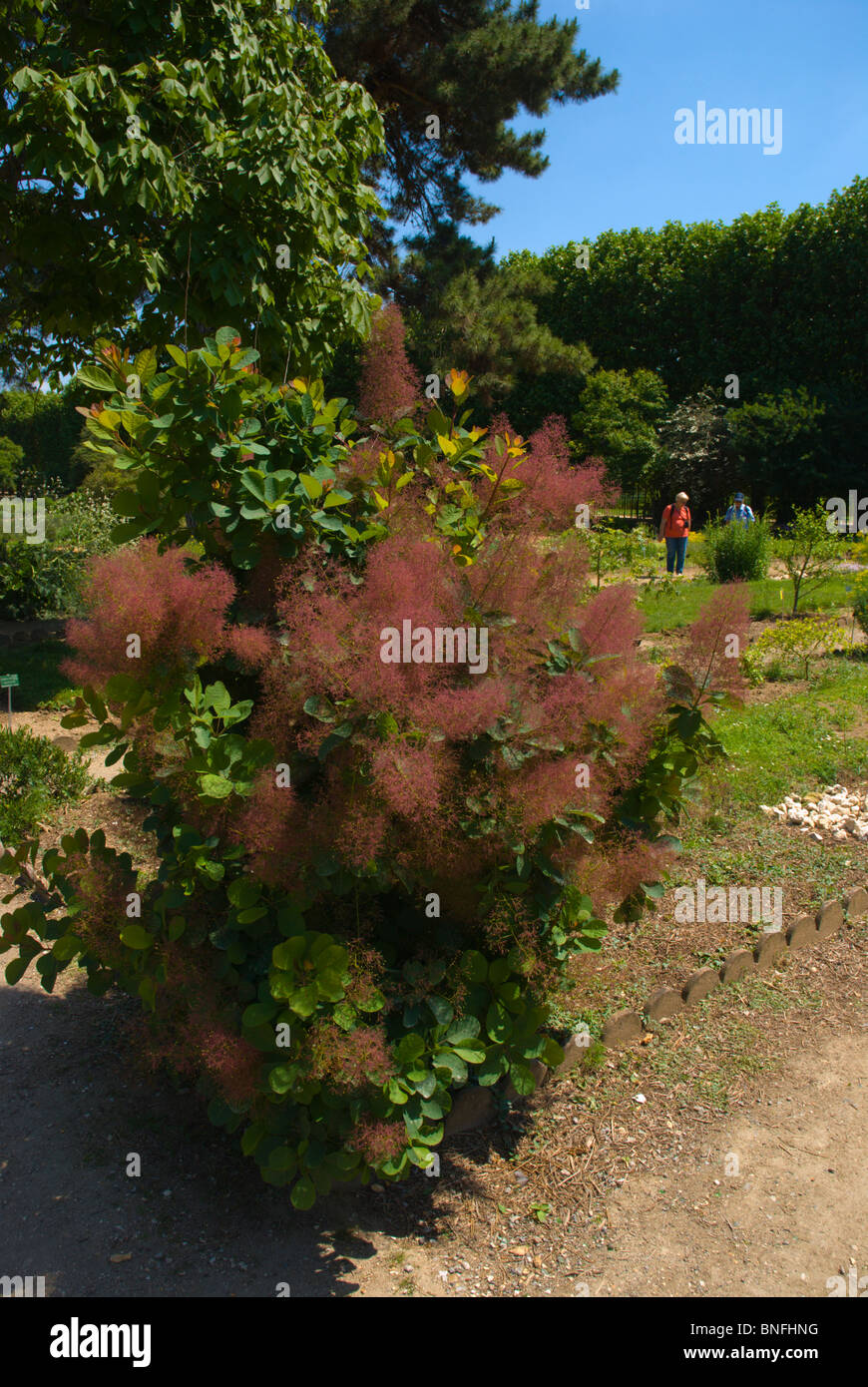 Latin garden hi-res stock photography and images - Alamy