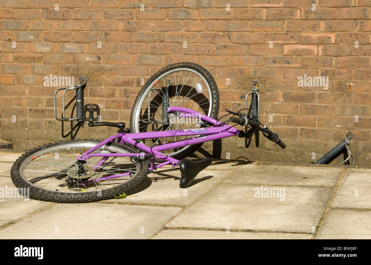 A fallen bicycle is a common sight in Cambridge in areas where ...