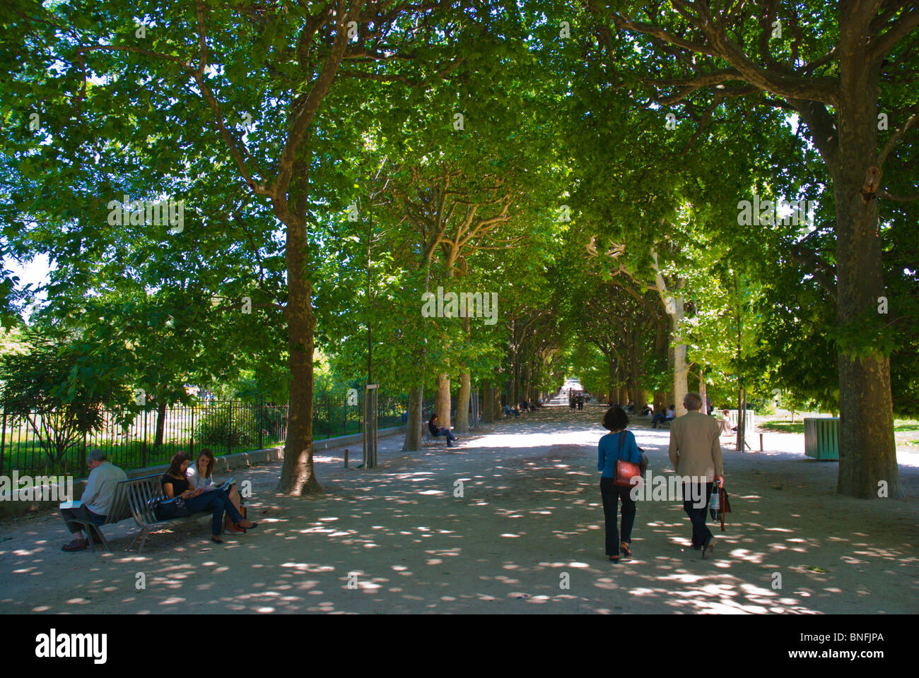 Latin garden hi-res stock photography and images - Alamy