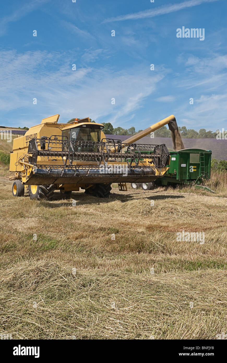 Farming cutting the hay Stock Photo - Alamy