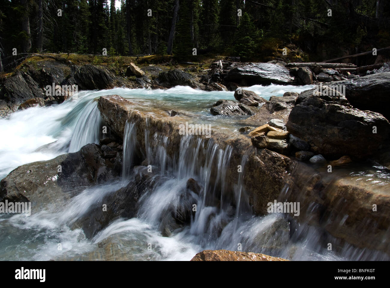 Rushing waterfall on remote stream Stock Photo - Alamy