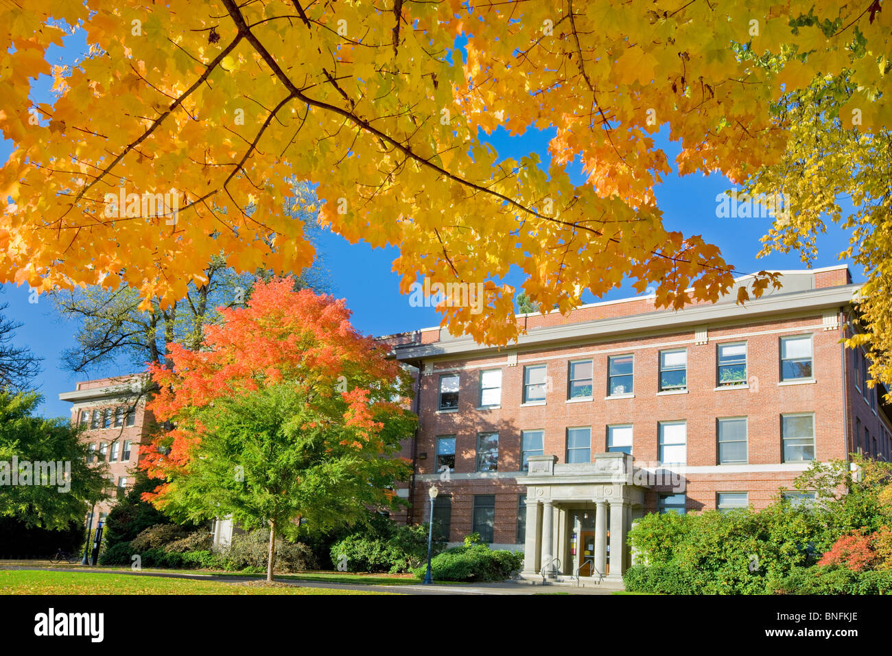 Agriculture Building with fall color. Oregon State University Stock ...