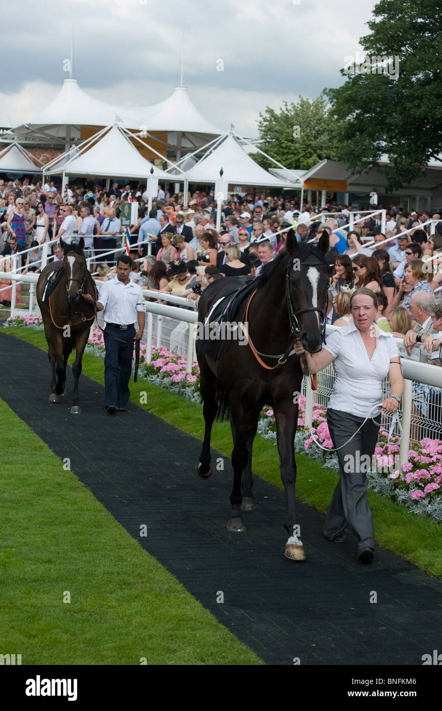 Ring races hi-res stock photography and images - Alamy