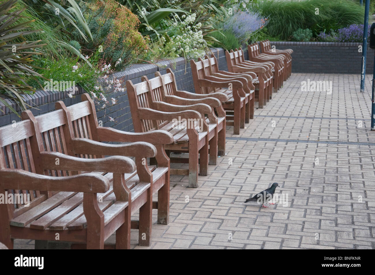 Bird seats hi-res stock photography and images - Alamy