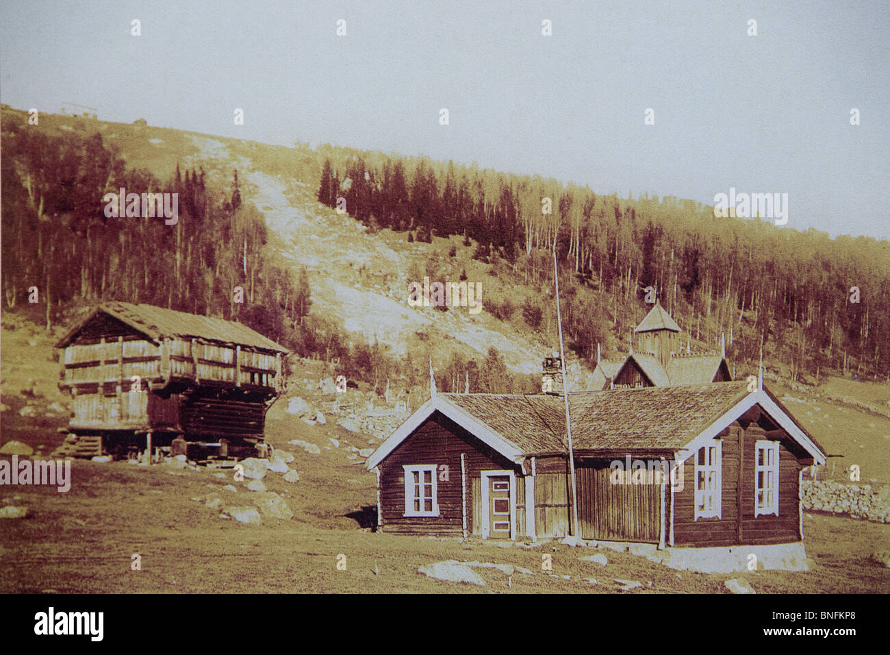 Norway reproduction hi-res stock photography and images - Alamy