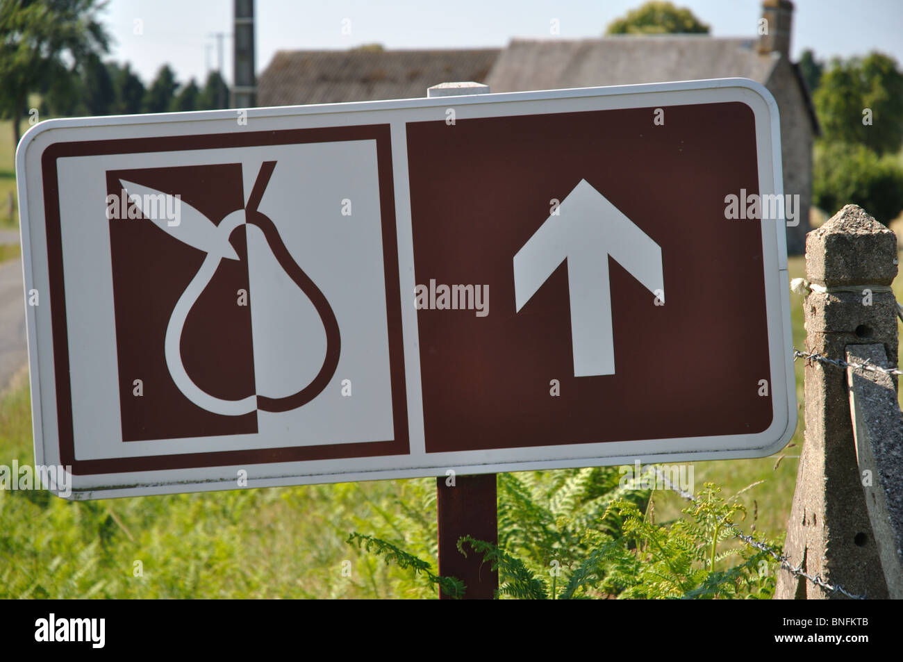 Poire pears hi-res stock photography and images - Alamy