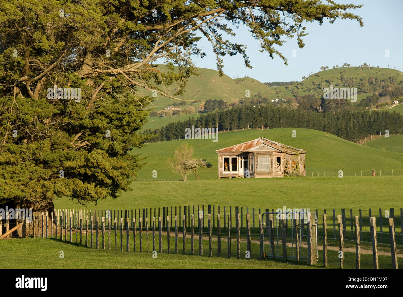 Carterton new zealand hi-res stock photography and images - Alamy