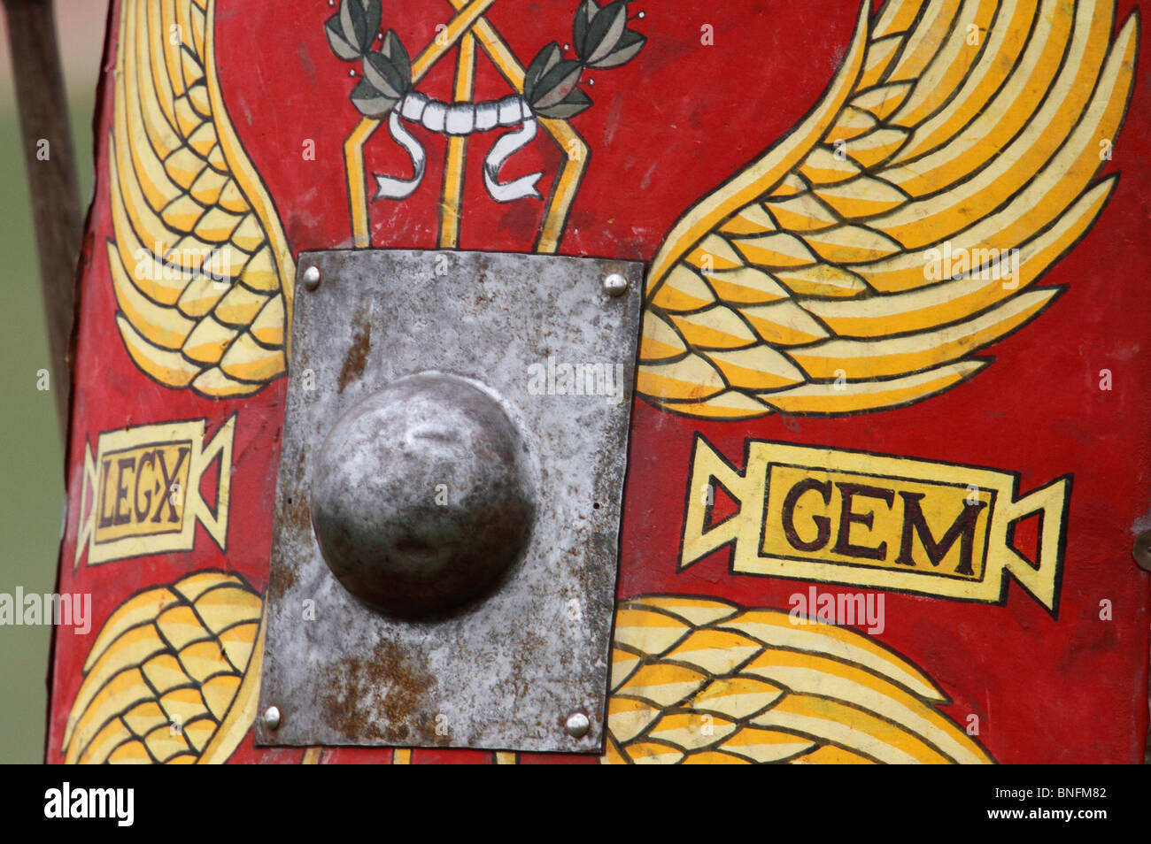 A scutum (legionaries shield) the rectangular, semi-cylindrical body ...