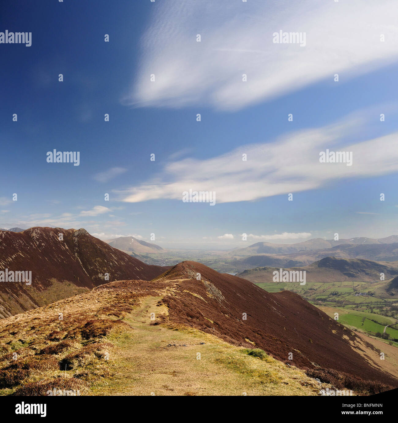 Pike square hi-res stock photography and images - Alamy