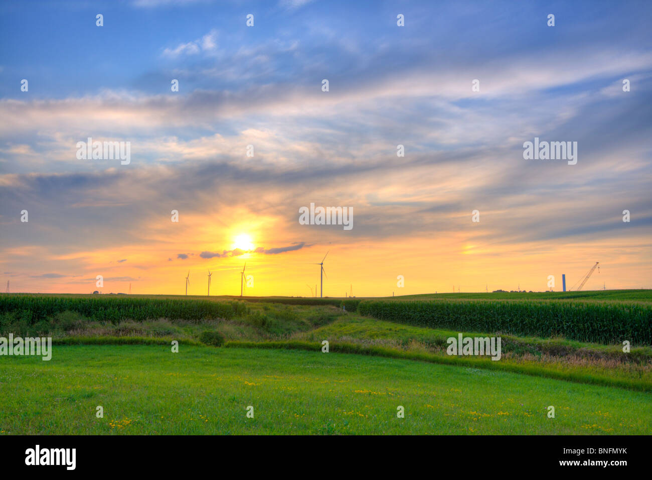Indiana, Corn,field High Resolution Stock Photography and Images - Alamy