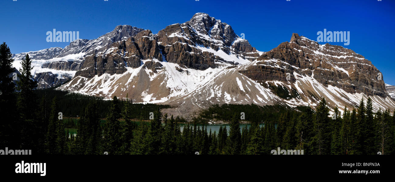 Bow mountain panorama. Banff National Park, Alberta, Canada Stock Photo ...