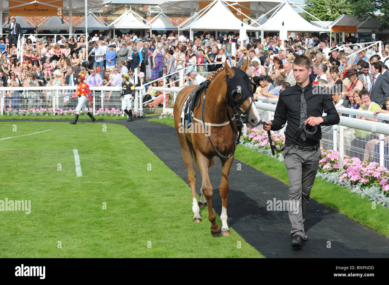 Ring races hi-res stock photography and images - Alamy