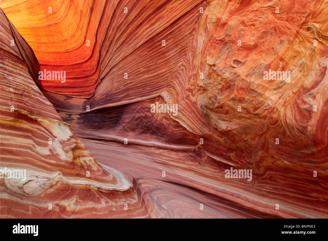 Eroded sandstone formations in Vermilion Cliffs National Monument ...