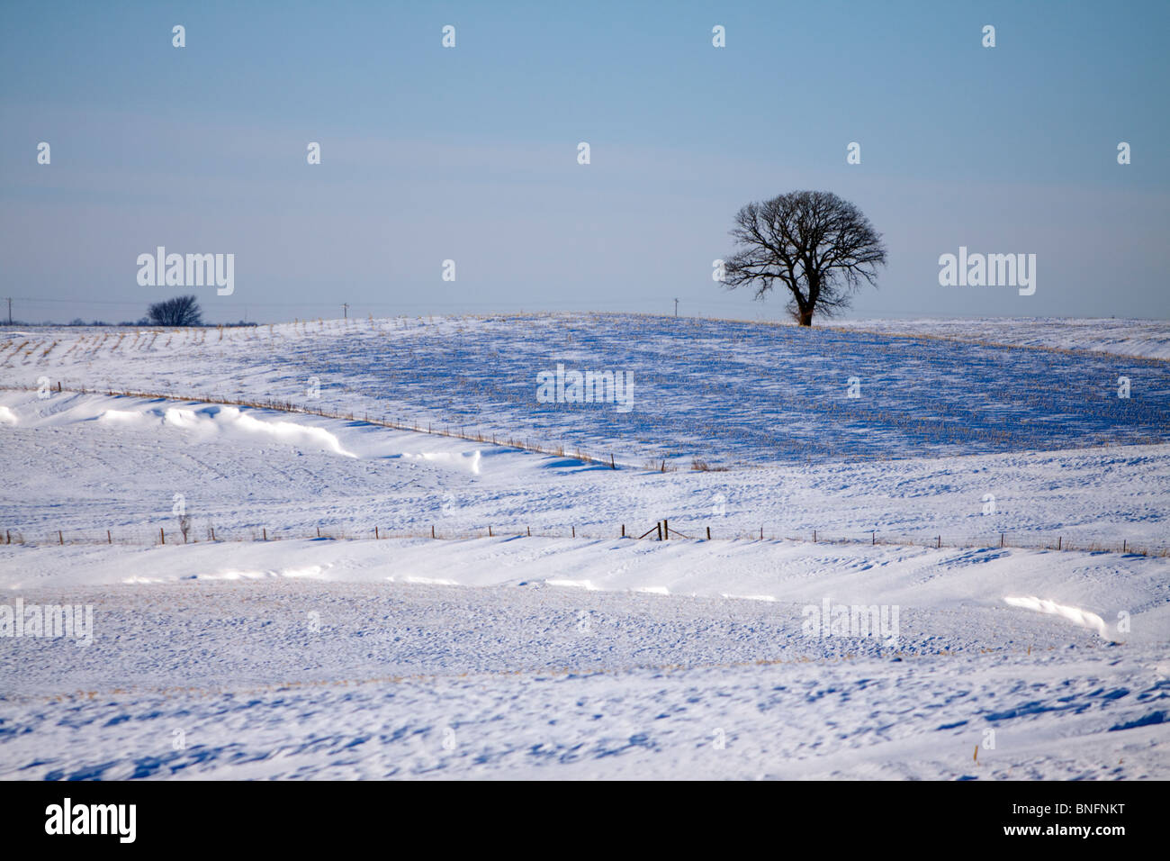 Bleak landscape with tree hi-res stock photography and images - Alamy