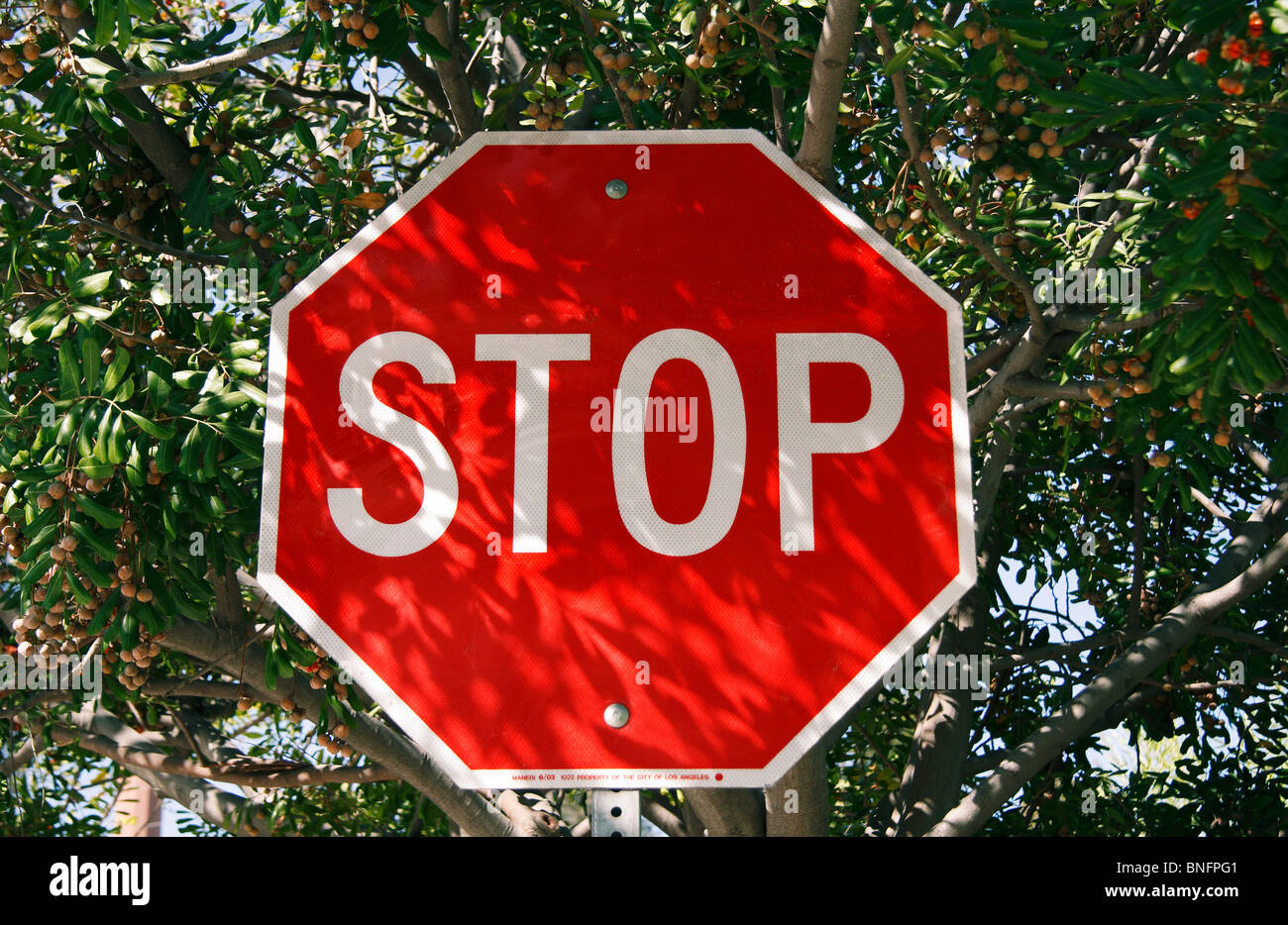 Bright red stop sign Stock Photo - Alamy