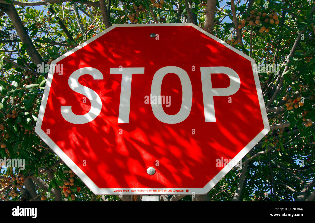 Stop sign red traffic light hi-res stock photography and images - Alamy