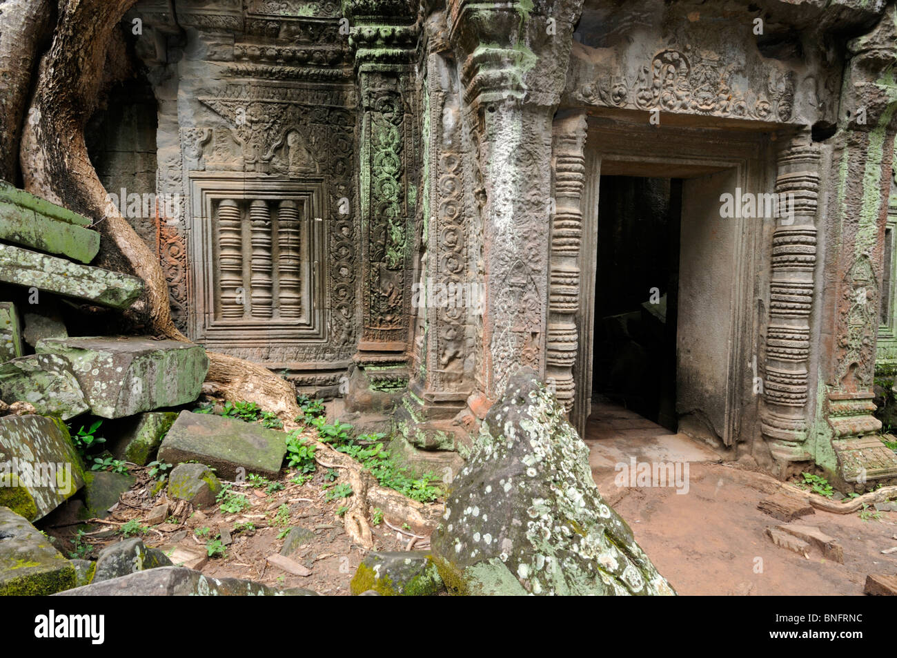 Ta Prohm Temple, Angkor, Cambodia Stock Photo - Alamy