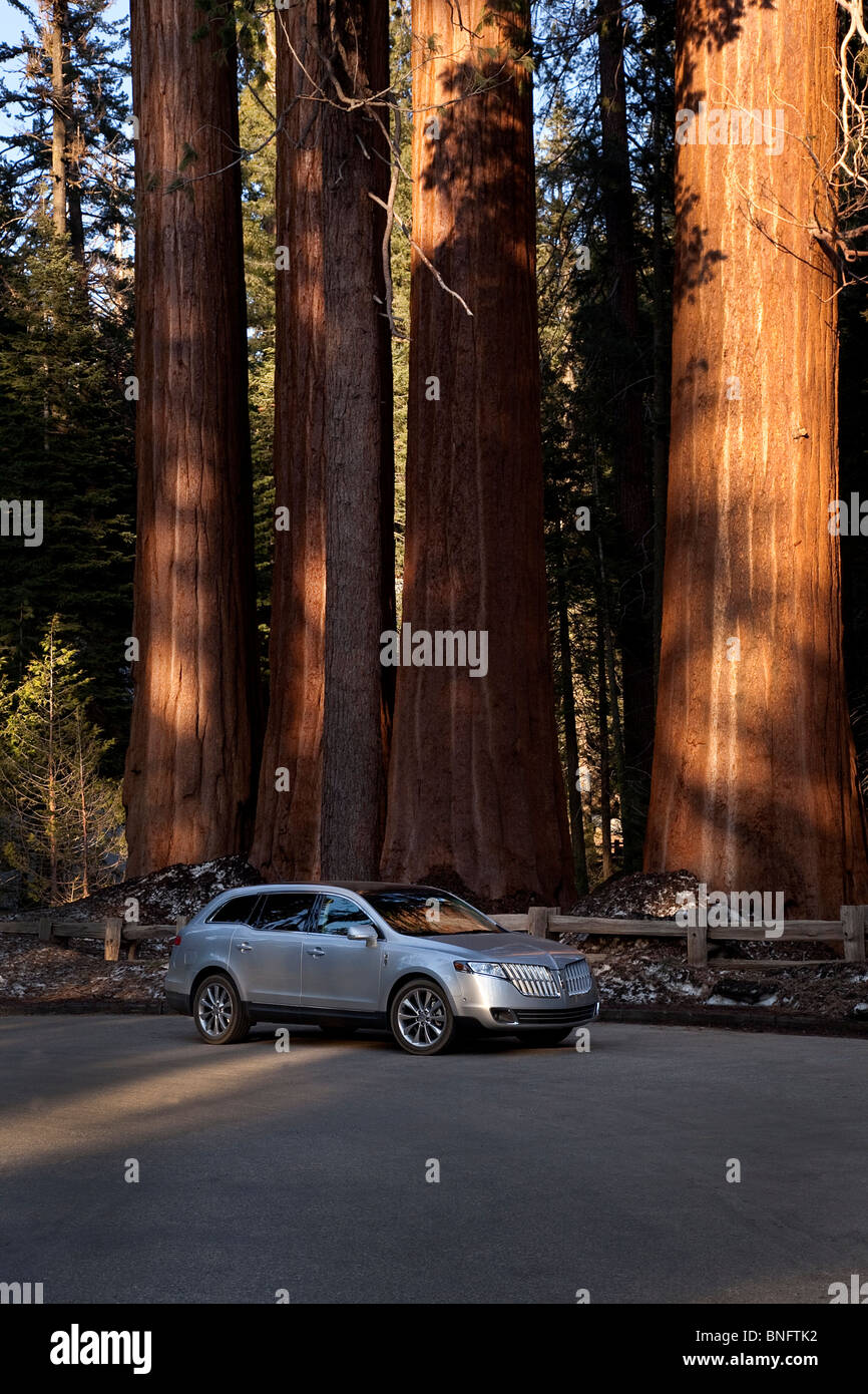 Grant grove hi-res stock photography and images - Alamy