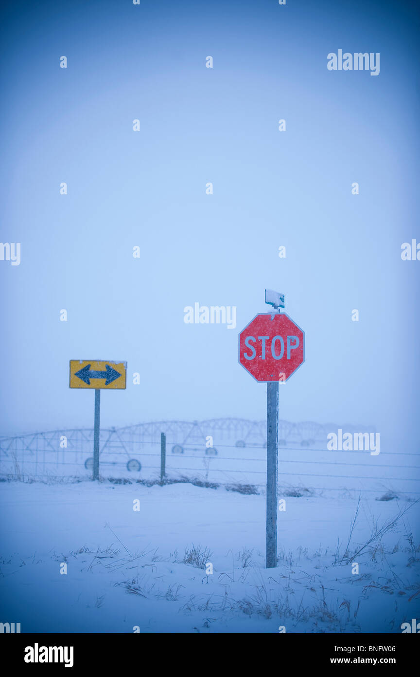 Road signs in a snow covered field, Bozeman, Montana, USA Stock Photo ...