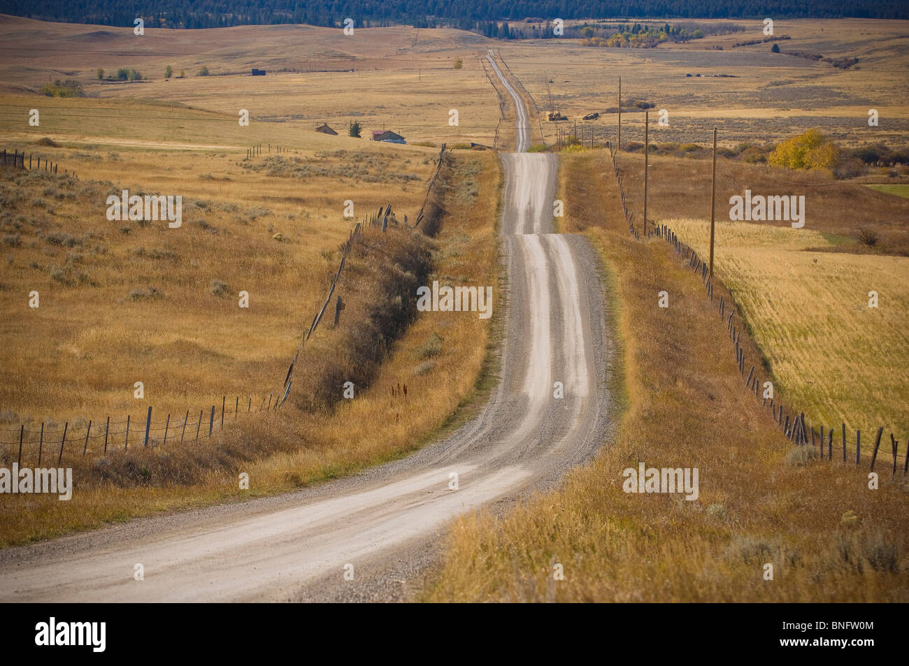 Dirt road passing through fields, Bozeman, Montana, USA Stock Photo - Alamy