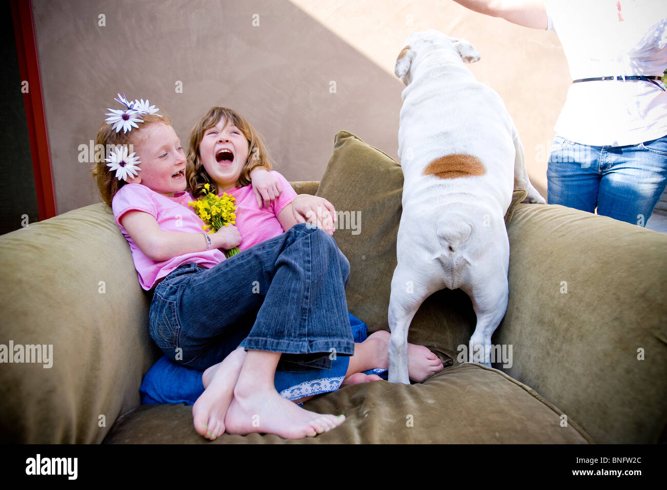 Two girls laughing and playing with a bulldog, San Diego, California ...