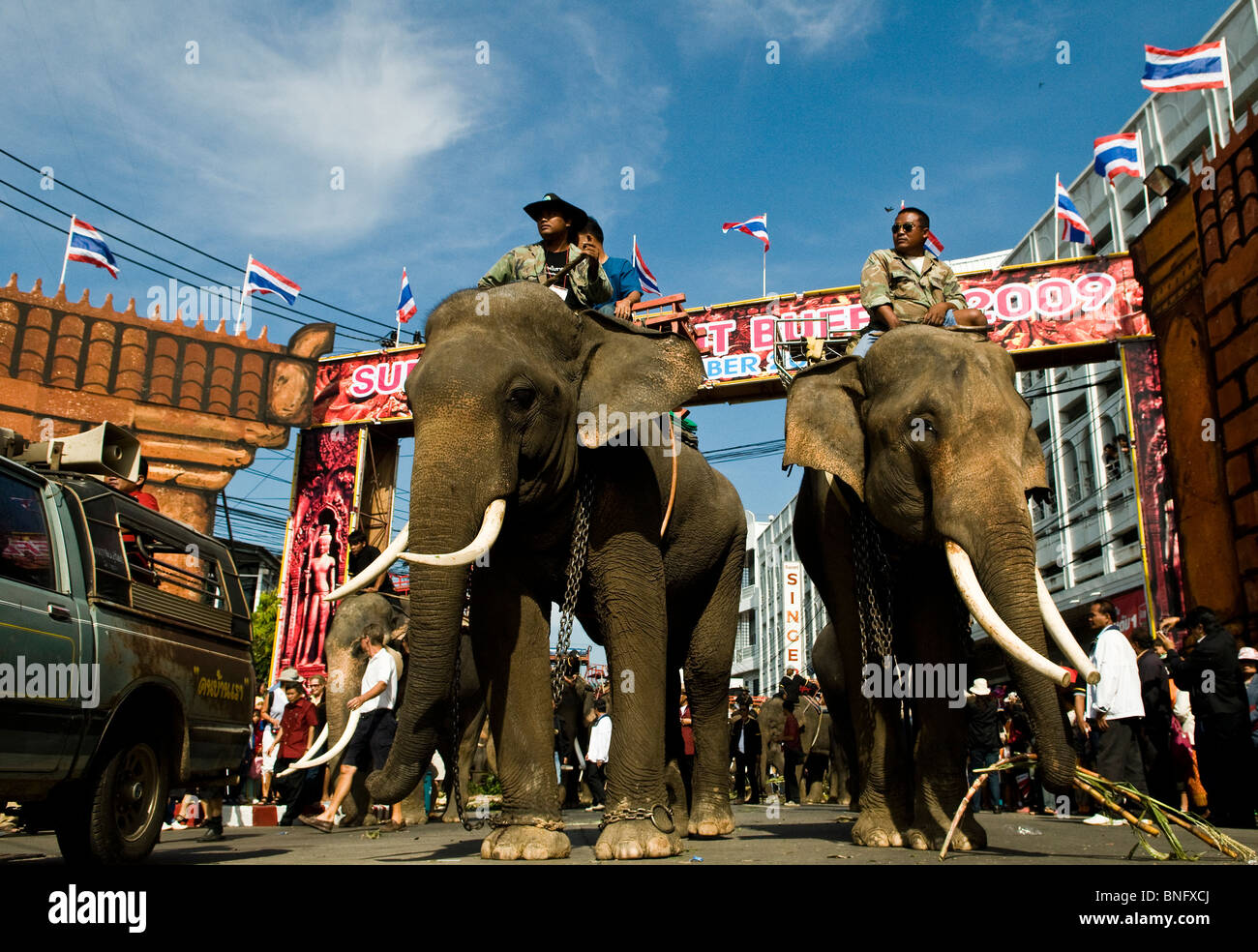 Elephants marching hi-res stock photography and images - Alamy