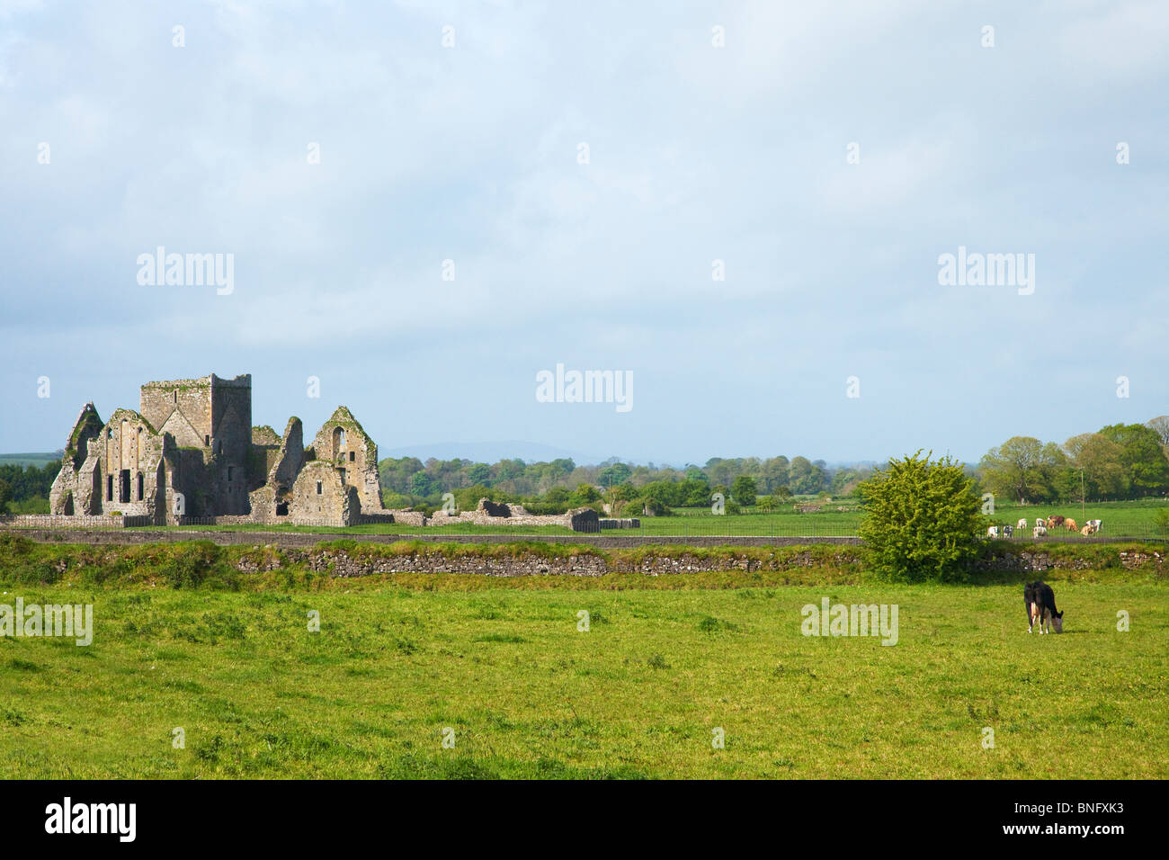 Ruins of an abbey, Hore Abbey, Cashel, County Tipperary, Munster ...