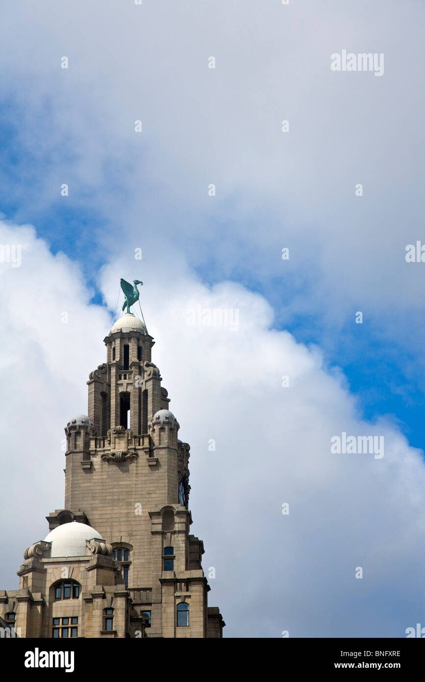 Liver bird on the tower of a building, Royal Liver Building, Liverpool ...