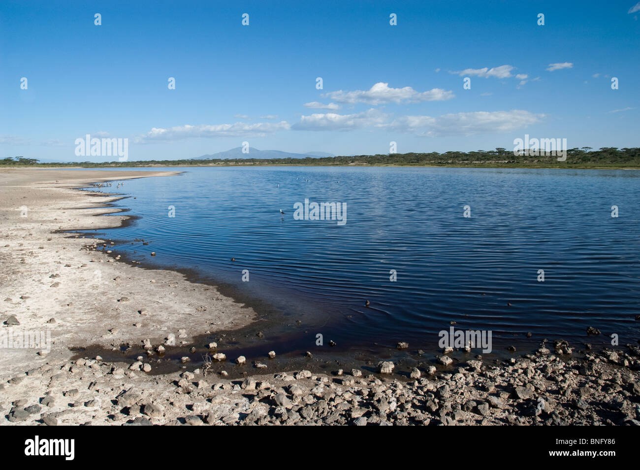 Lake Masek is the start of the world famous Oldupai Gorge in Ndutu ...