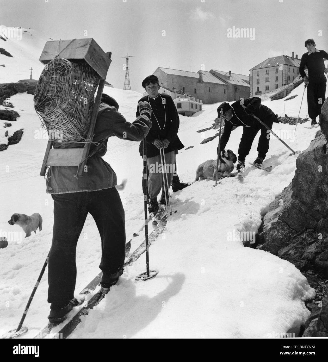 Two people walking dogs on Black and White Stock Photos & Images - Alamy