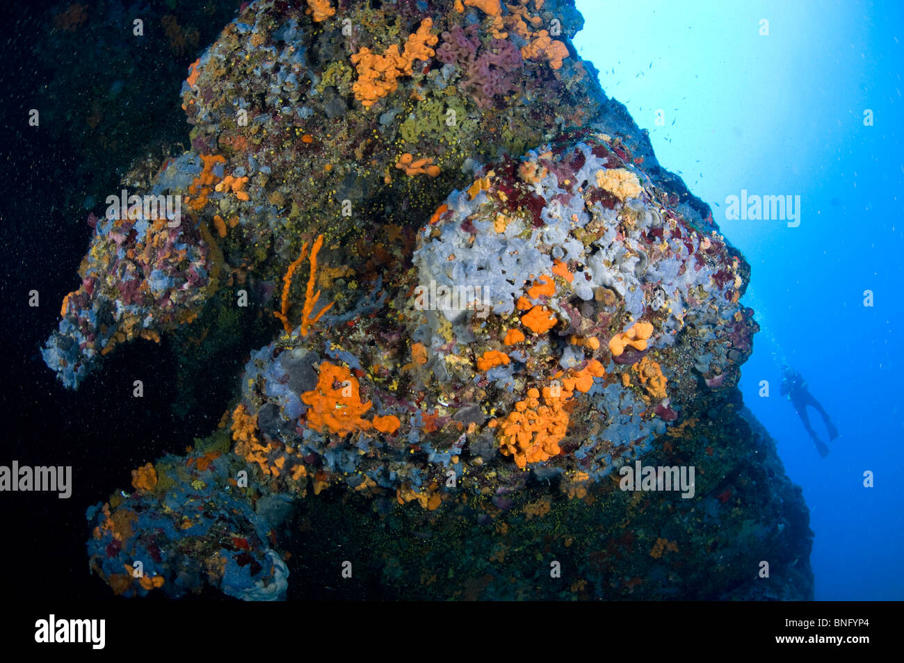 Steep drop off in Korcula Island, Croatia Stock Photo - Alamy