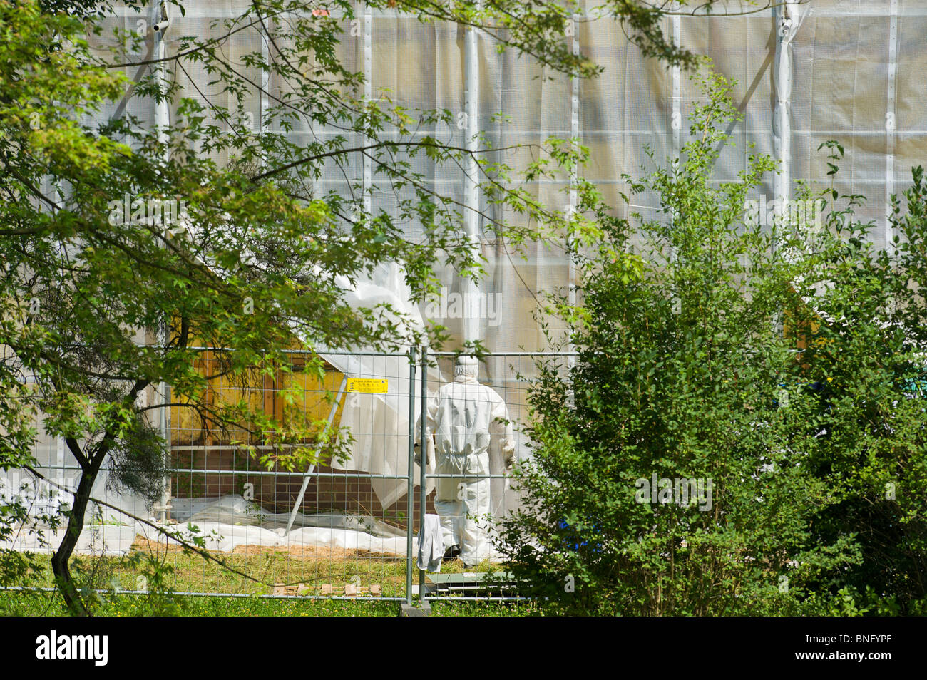 man and nature asbest Asbestos disposal dumping cleaning disposing ...