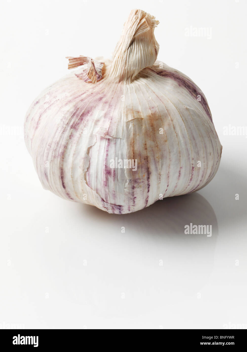 Whole ripe purple garlic head on a white background Stock Photo - Alamy