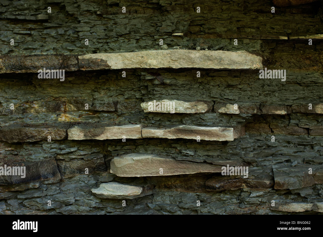 Ordivican hi-res stock photography and images - Alamy