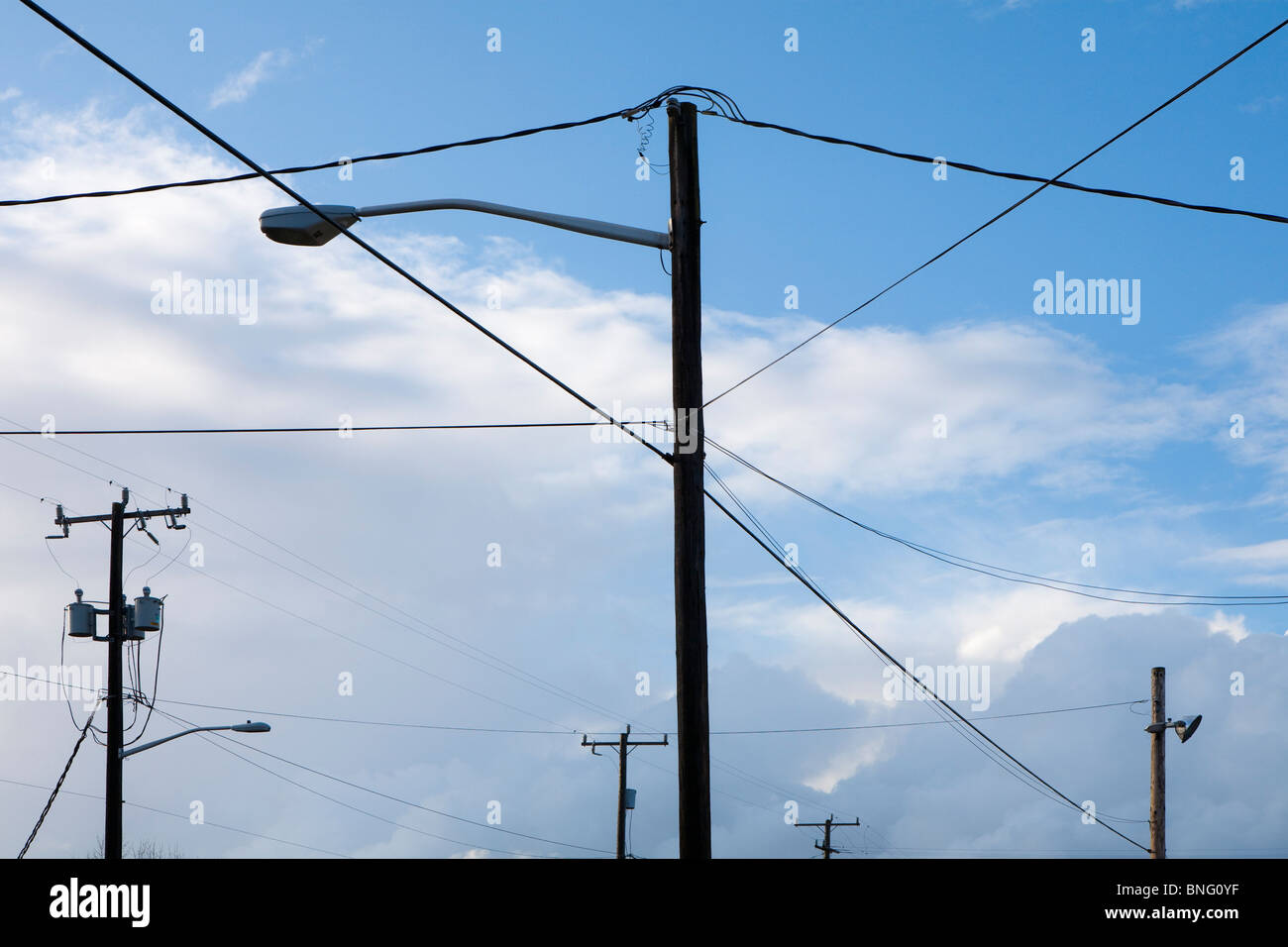 Low angle view of telephone poles and power lines, Seattle, Washington ...